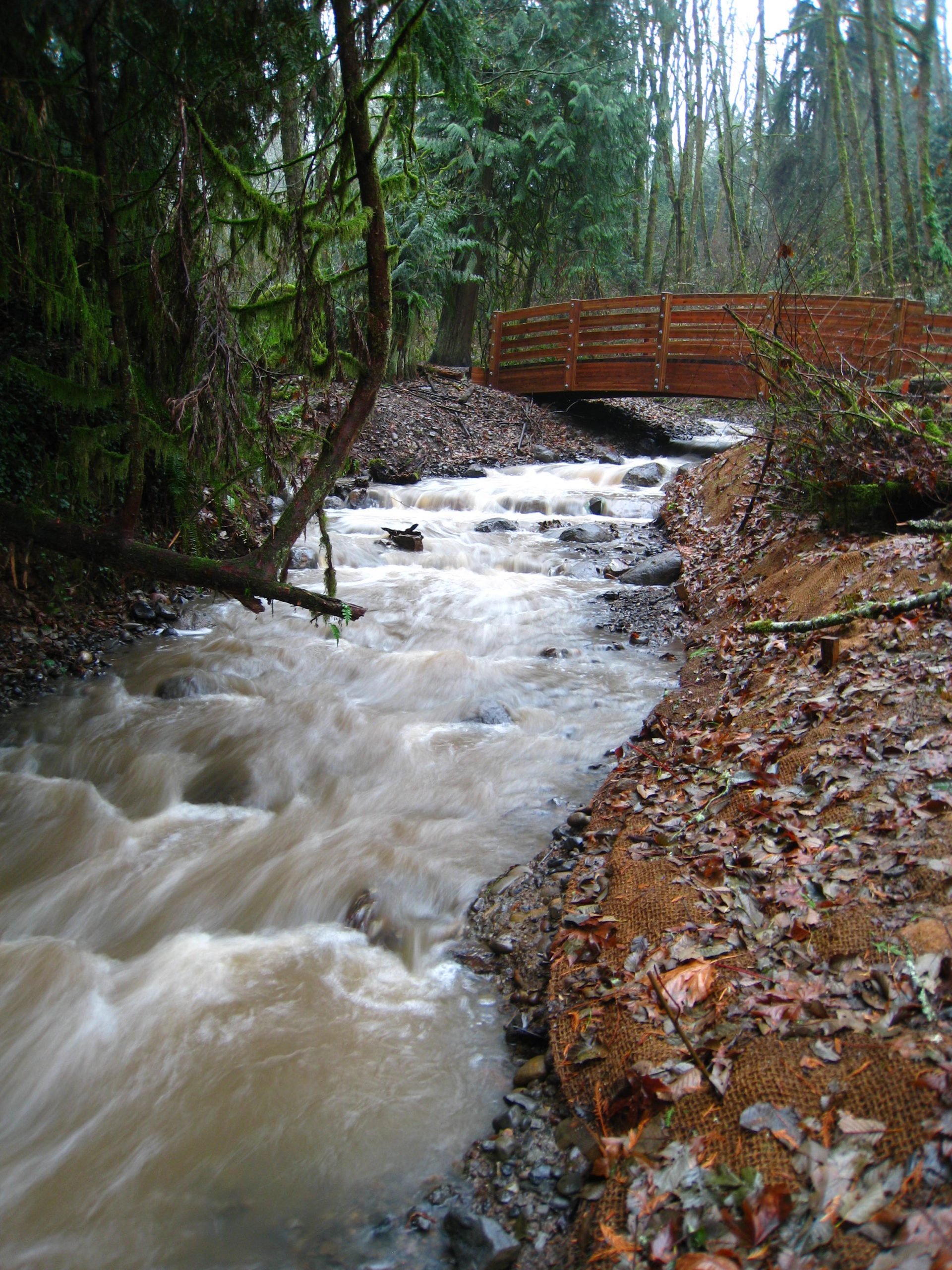 Our Work – Tryon Creek Watershed Council